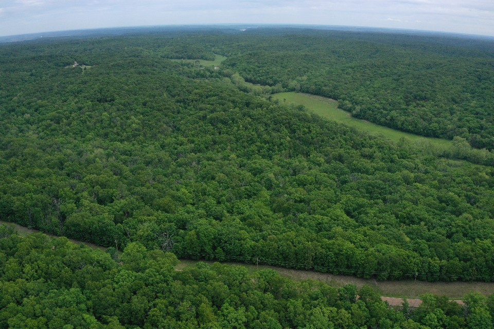 30 Acres Bordering Hwy J Roach, Mo